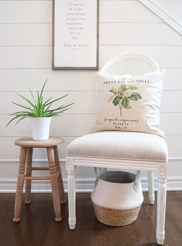6 Indoor Plants Perfect for Farmhouse Décor - Willow Bloom Home